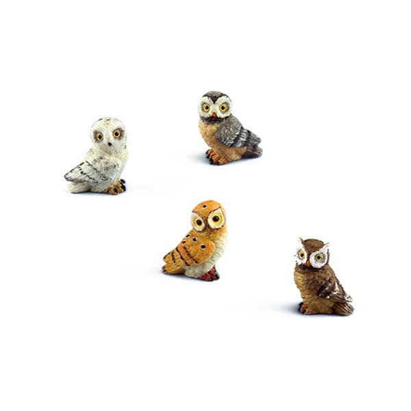 Mini Owls - El Cholo's Kid